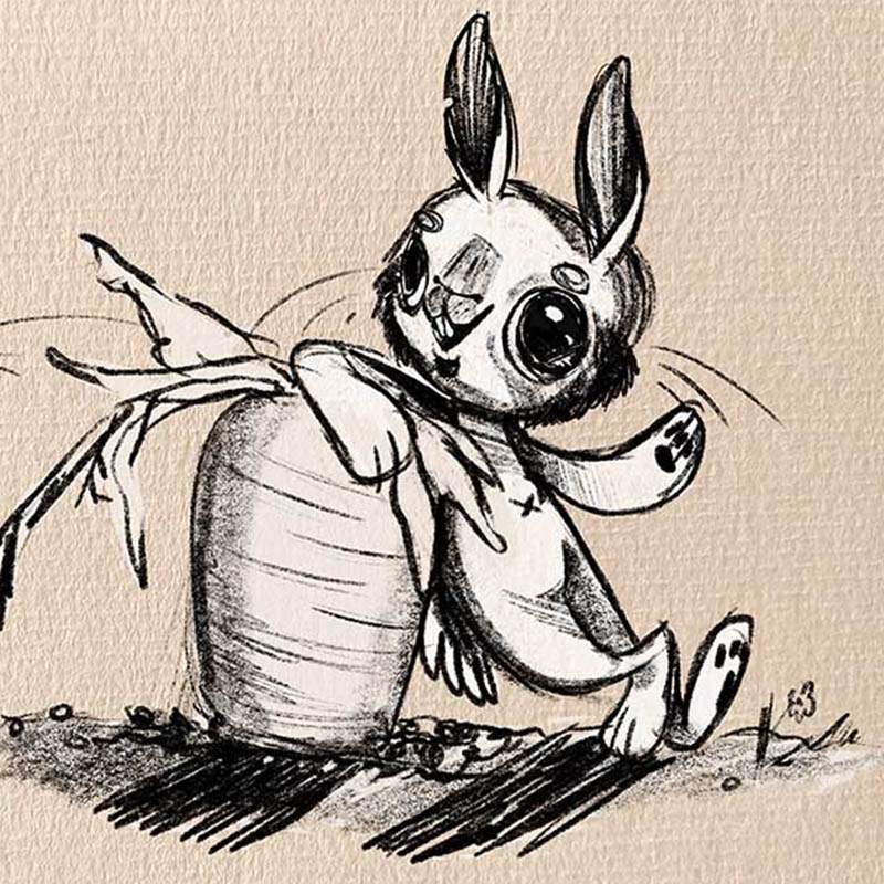 Lior Raz's Portfolio